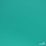 LunchBots Cinco Stainless Steel 5 Compartment Bento Box